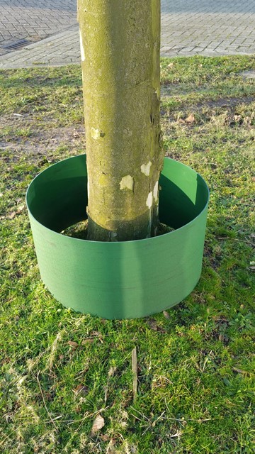 Boom en Plant – Homma